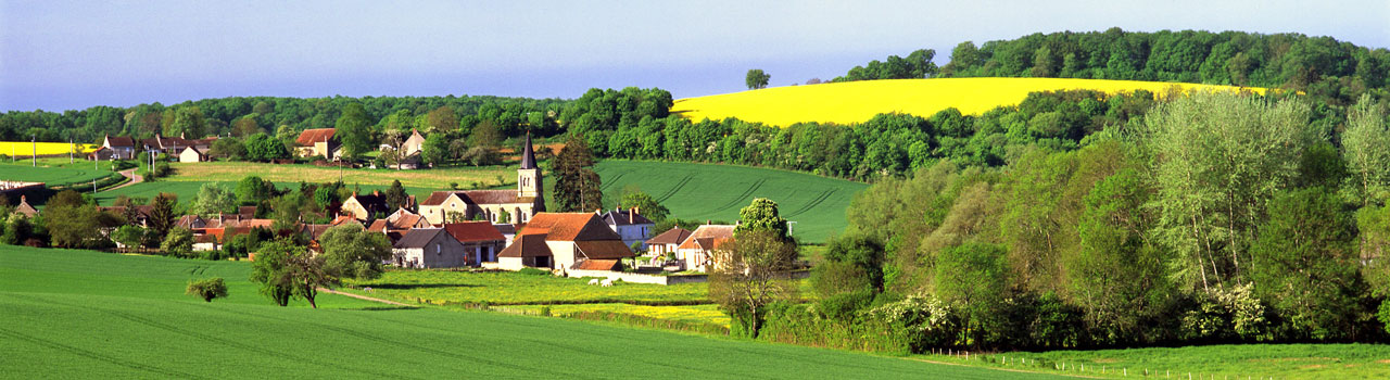 MSA - Ile de France accueil - MSA Ile de France